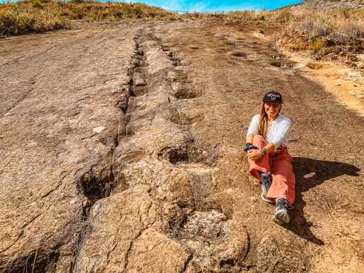 Toro Toro National Park With Caves And Dinosaur Tracks: A Must-See Site