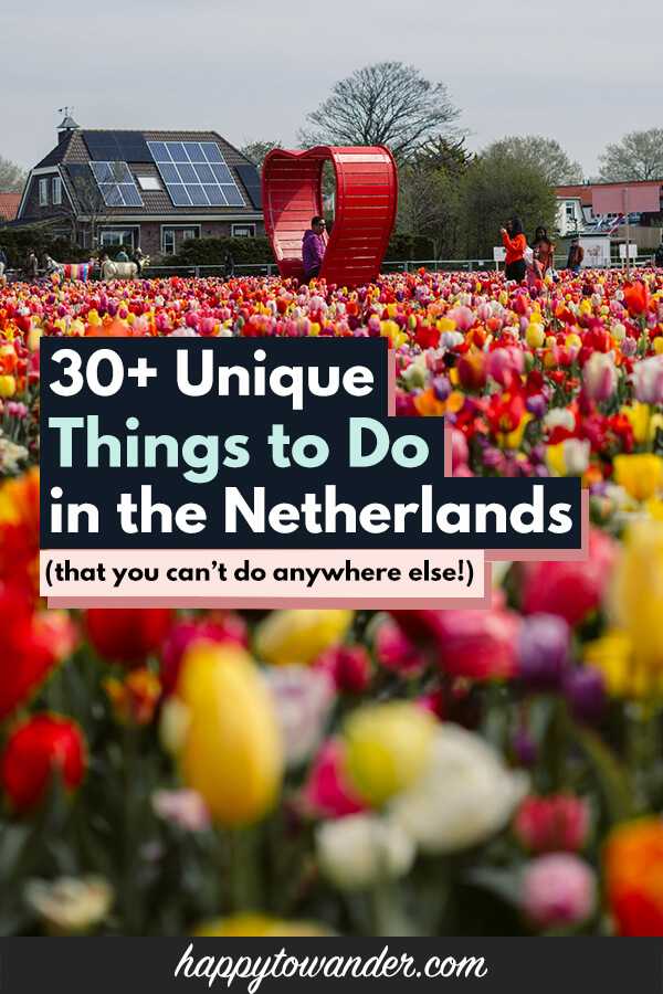 Unique Things To Do In Dutch Countryside For An Authentic Experience